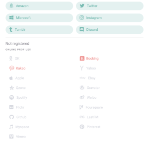 Application Fraud: Examples & How to Detect It | SEON
