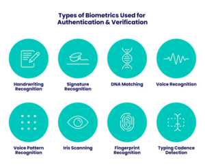 What Is Biometric Verification - How Does It Work? | SEON